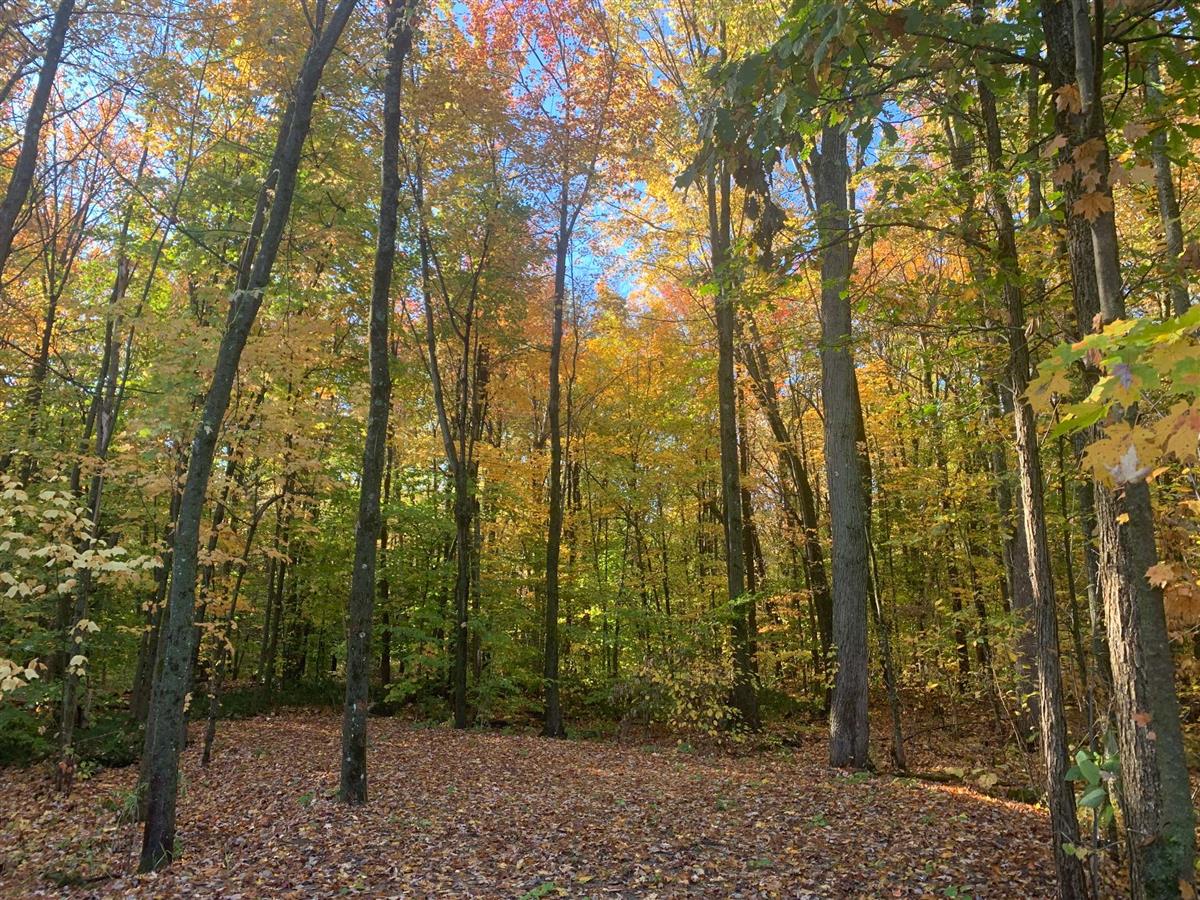 Terrain Ch. Ste-Angélique, Saint-Lazare