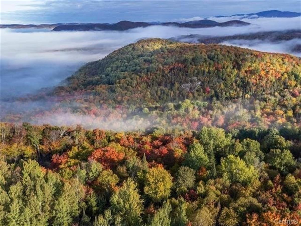 Terrain Ch. des Aigles, Saint-Faustin/Lac-Carré – JGA COMMERCIAL